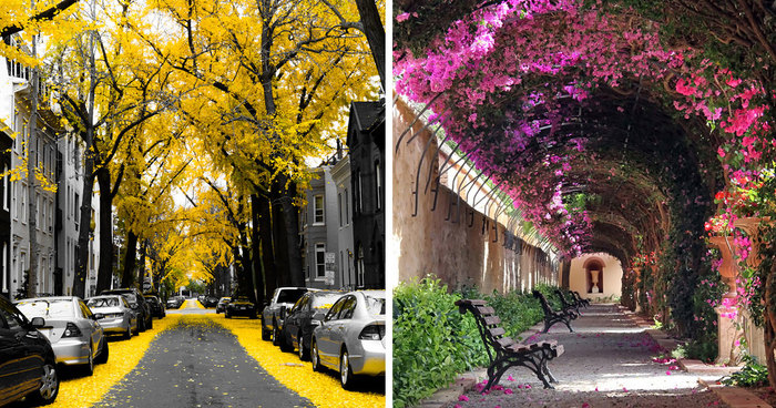 10 Most Beautiful Streets in the World | Earthology365