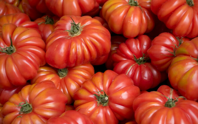 Top 7 Italian Tomato Varieties and Their Best Uses | Earthology365 | Page 5