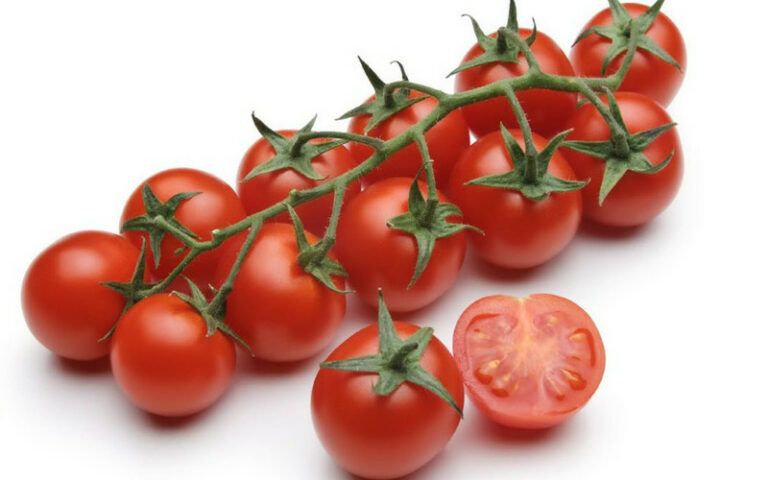 Top 7 Italian Tomato Varieties and Their Best Uses | Earthology365 | Page 2
